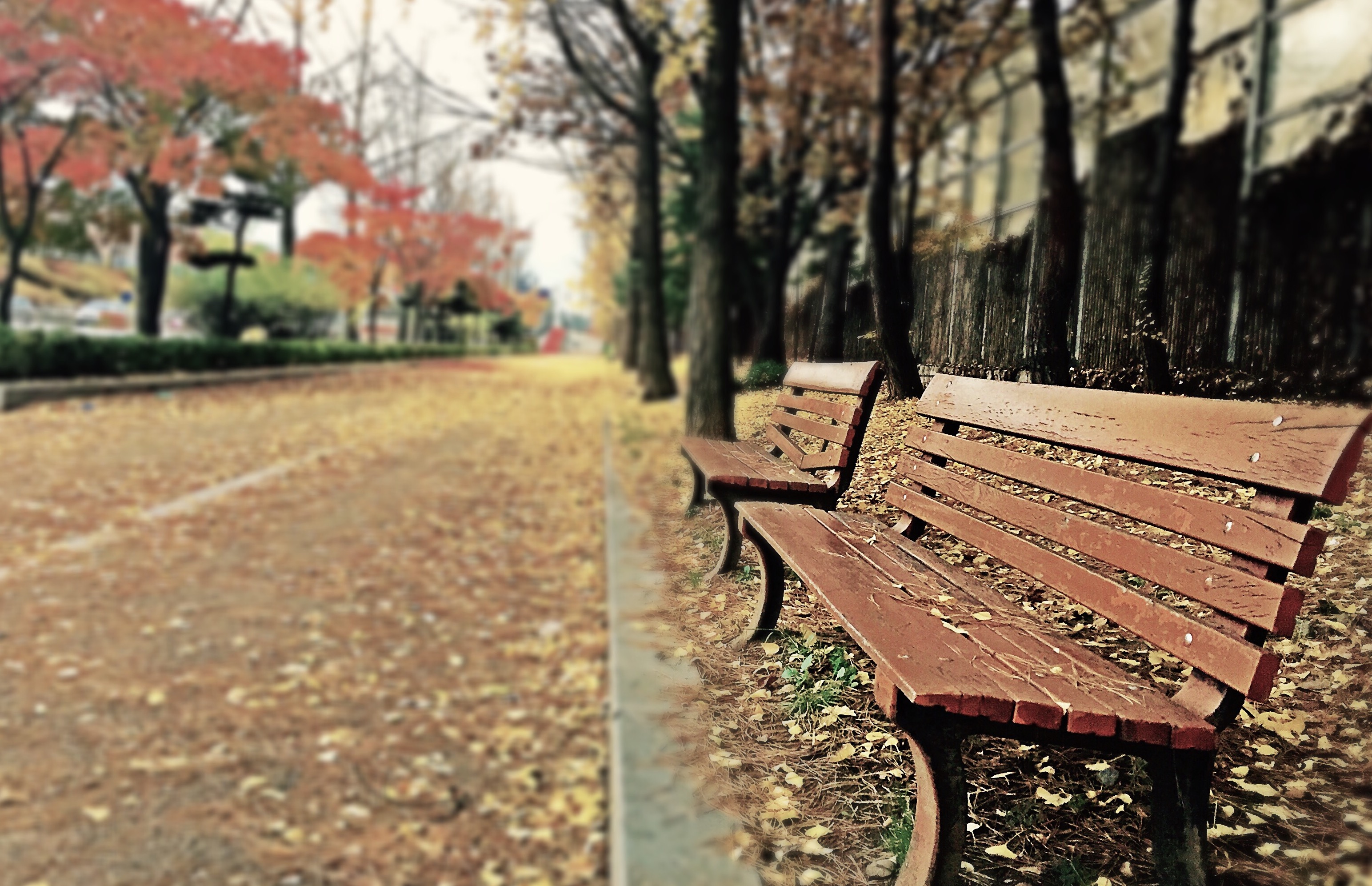 Tips for Moving in Autumn - Global Van Lines